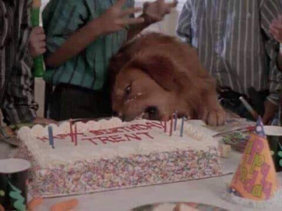 Humorous Pictures Of Dogs That Will Leave You Chuckling (52 PICS ...