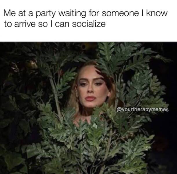 Introvert's Delight: Irresistible Memes To Keep You Cozy Indoors (30 ...