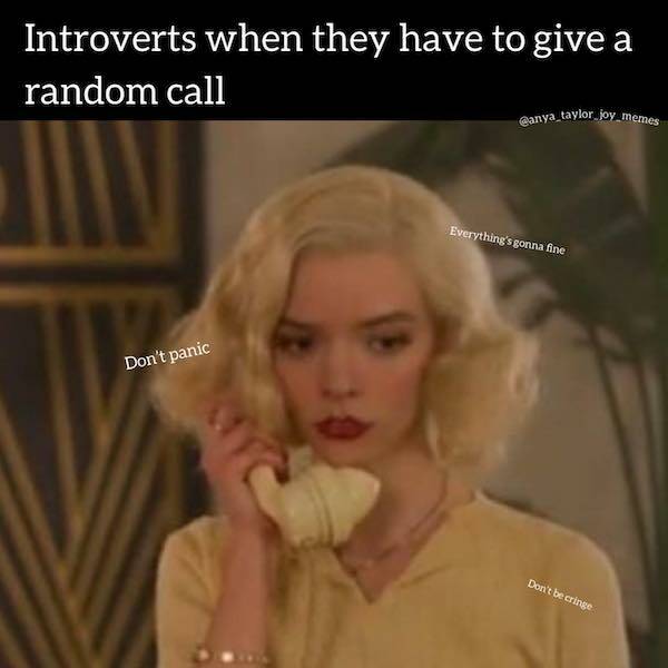 Introvert's Delight: Irresistible Memes To Keep You Cozy Indoors (30 ...