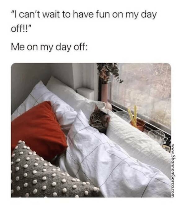 Introvert's Delight: Irresistible Memes To Keep You Cozy Indoors (30 ...