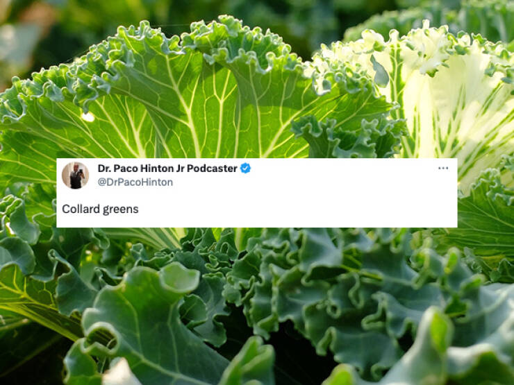 From Yuck To Yum: Childhood Food Enemies Become Adult Favorites (29 ...