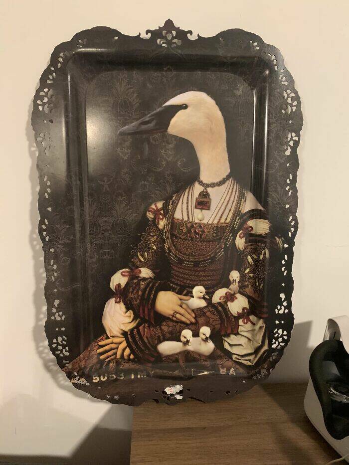 Unconventional Fantasies: The Most Eccentric Objects People Crave To ...