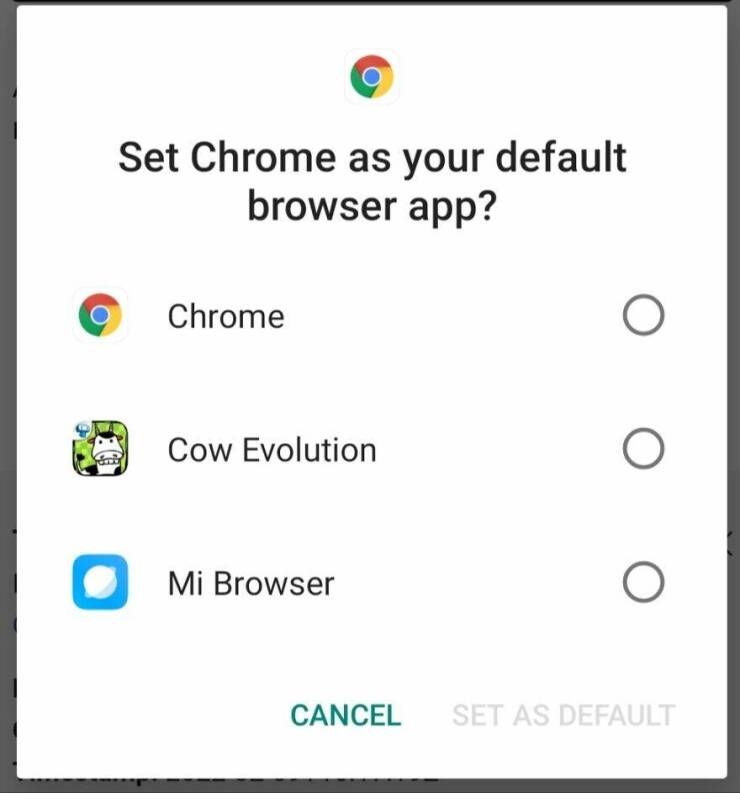 Epic Software Fails: Unbelievable Glitches That People Caught And ...