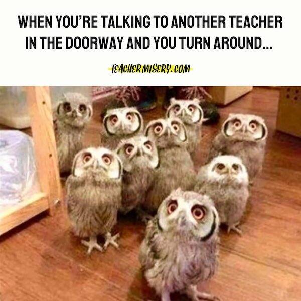 Teacher Humor: Memes That Only Educators Can Relate To (33 PICS ...