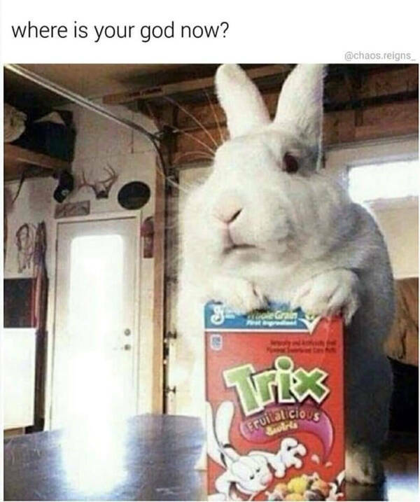 Humor In The Wild: Memes That Showcase The Majestic And Hilarious Side ...