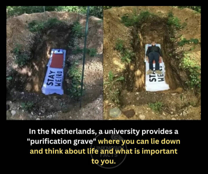 In The Realm Of The Unusual: Discovering The Most Bizarre And ...