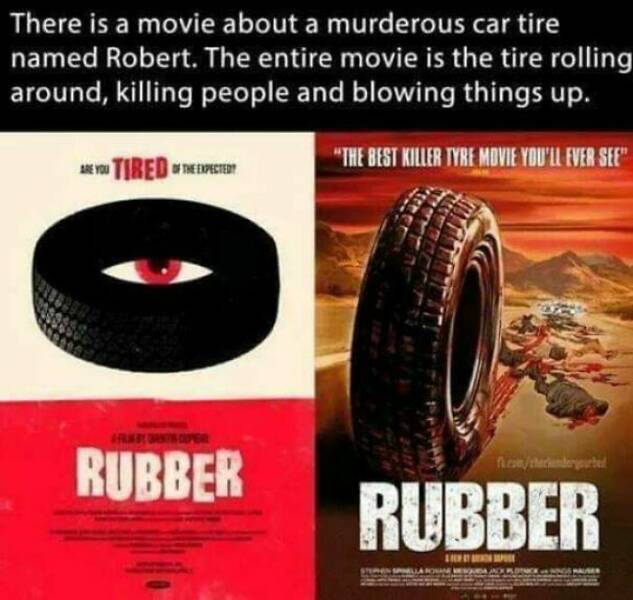 In The Realm Of The Unusual: Discovering The Most Bizarre And ...