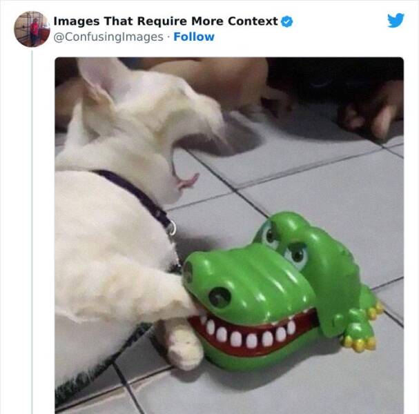 Bizarre And Hilarious: Unhinged Pics That Will Leave You Confused And ...