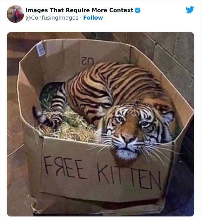 Bizarre And Hilarious: Unhinged Pics That Will Leave You Confused And ...