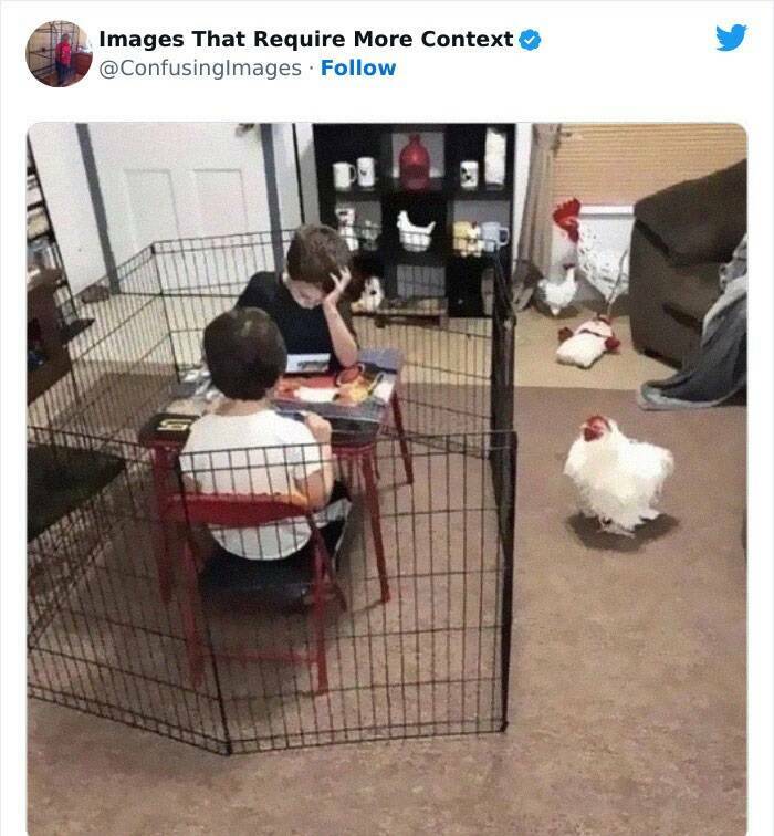 Bizarre And Hilarious: Unhinged Pics That Will Leave You Confused And ...