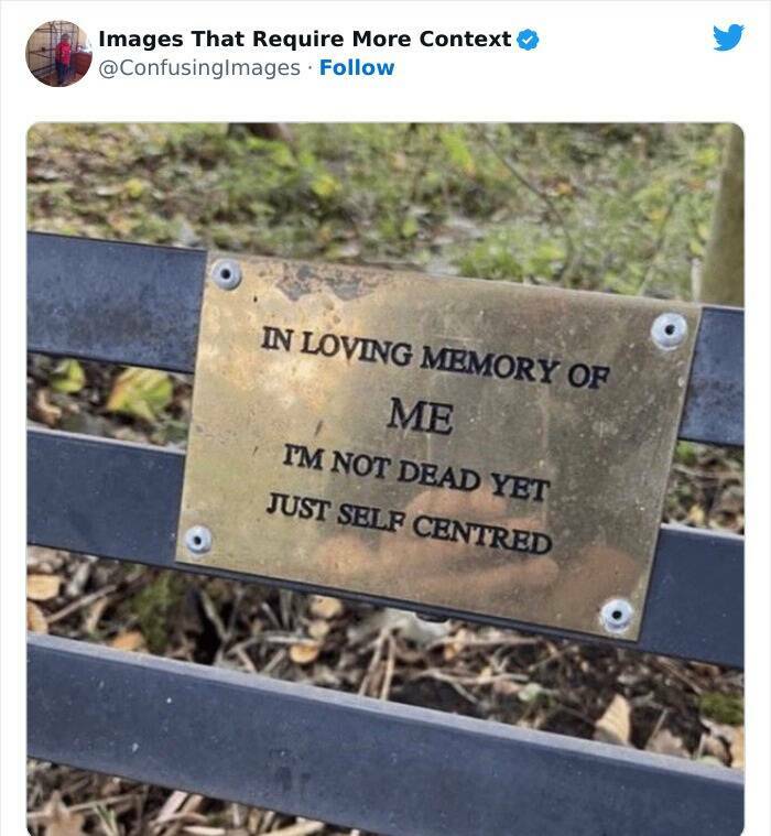 Bizarre And Hilarious: Unhinged Pics That Will Leave You Confused And ...