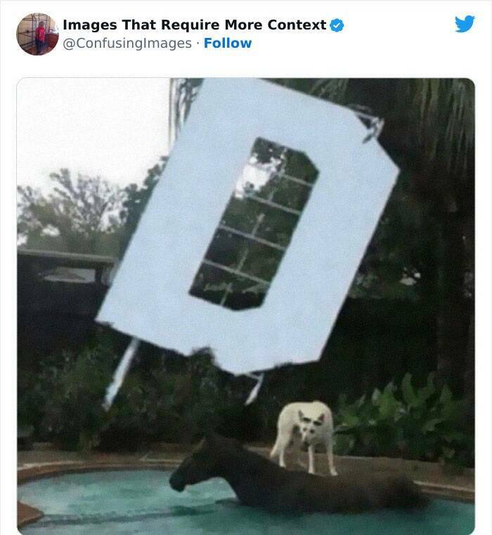 Bizarre And Hilarious: Unhinged Pics That Will Leave You Confused And ...