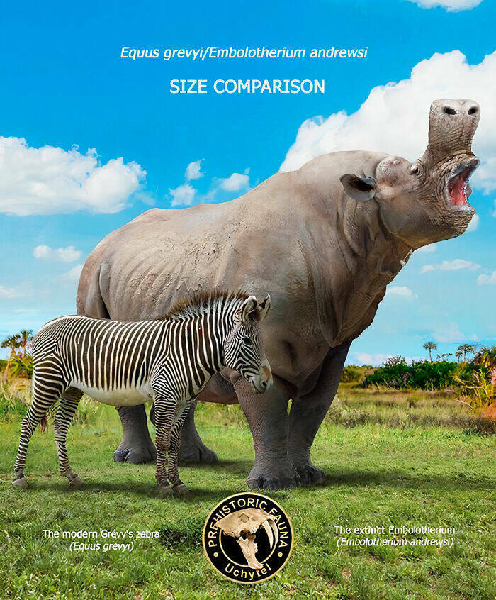 Size Matters: A Look At Extinct Species And Their Modern Relatives (36 ...