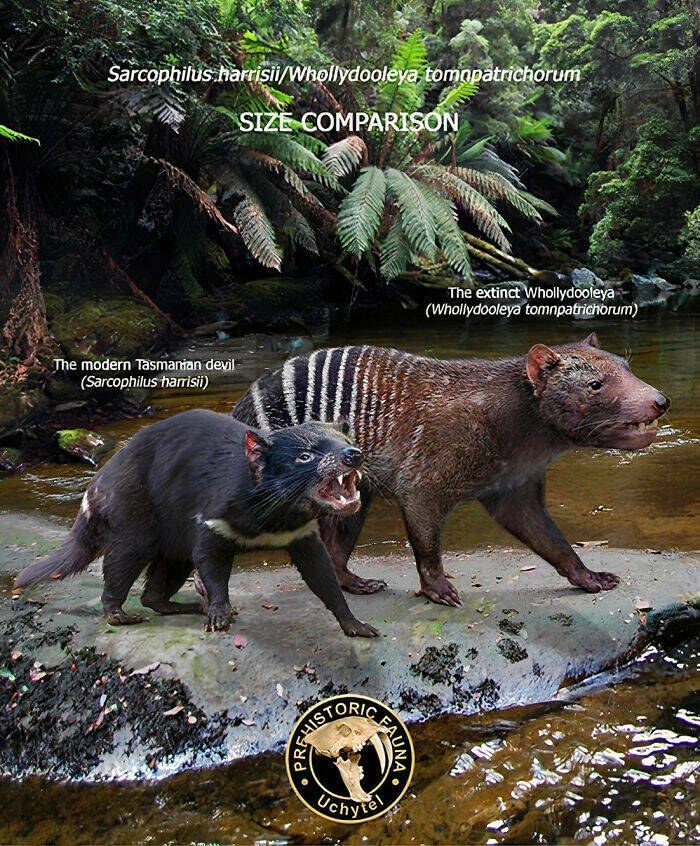 Size Matters: A Look At Extinct Species And Their Modern Relatives (36 ...