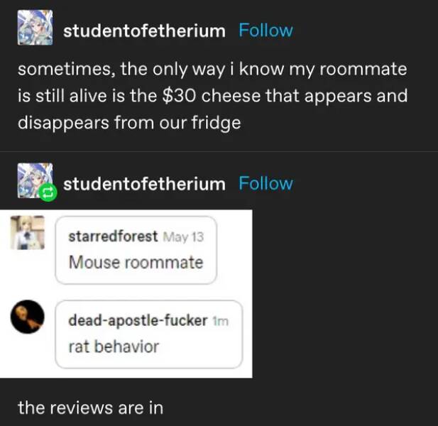 Witty And Unforgettable: Incredibly Clever Comments From Total ...