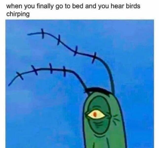 Hilarious Memes To Keep You Laughing During Sleepless Nights (25 PICS ...