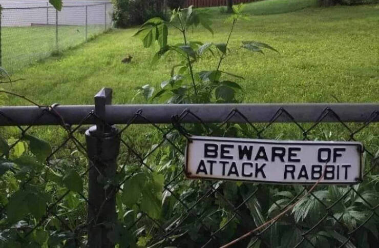 When Signs Make You Smile: The Most Shareable And Funny Ones (46 PICS ...