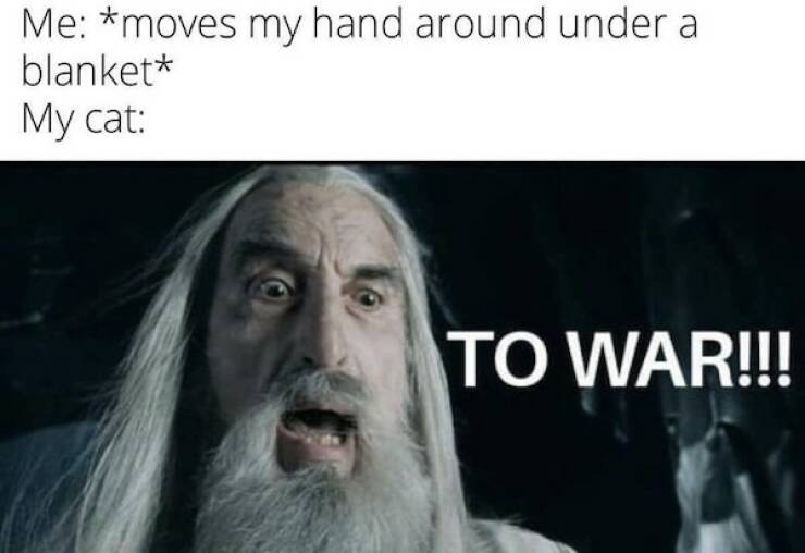 One Meme To Rule Them All: Lord Of The Rings Internet Comedy (36 PICS ...