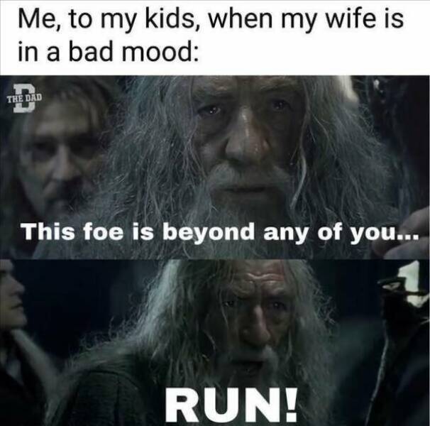 One Meme To Rule Them All: Lord Of The Rings Internet Comedy (36 PICS ...