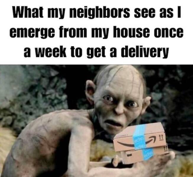 One Meme To Rule Them All: Lord Of The Rings Internet Comedy (36 PICS ...