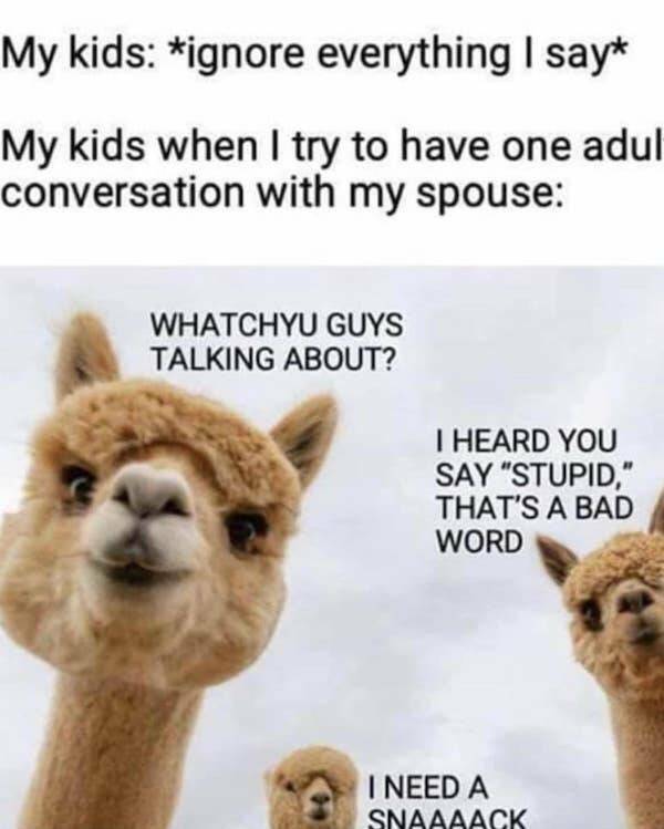 Parenthood In A Nutshell: Funny Parenting Memes For A Chuckle (29 PICS ...