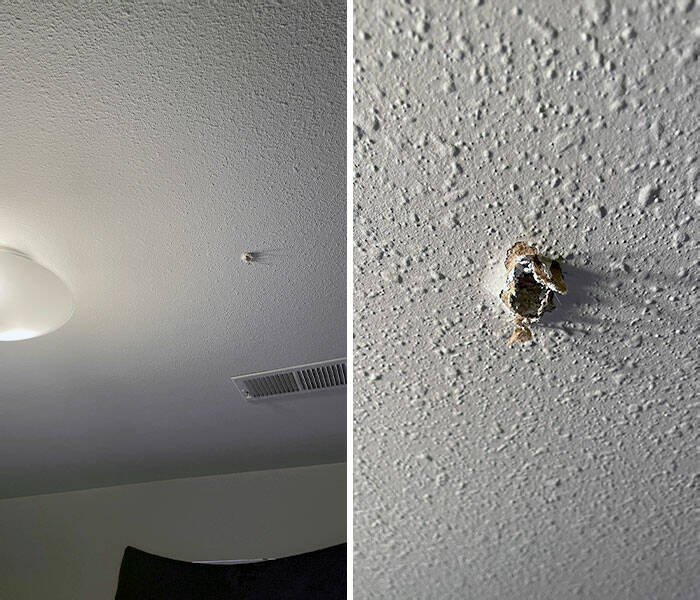 A Day Of Unluckiness: Witnessing How Things Can Go From Bad To Worse ...