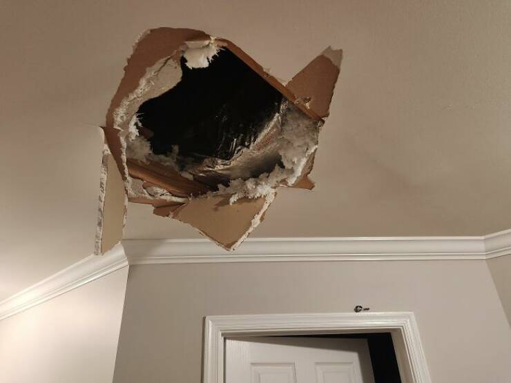 A Day Of Unluckiness: Witnessing How Things Can Go From Bad To Worse ...