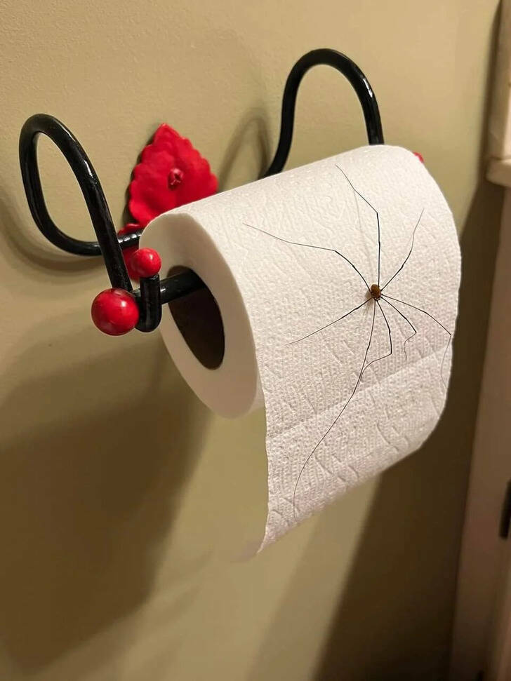 A Day Of Unluckiness: Witnessing How Things Can Go From Bad To Worse ...