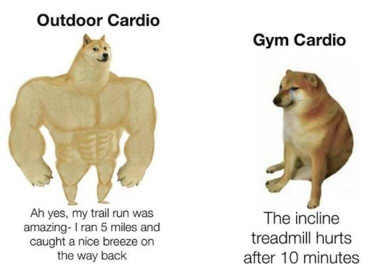 Elevate Your Humor Workout With These Gym Memes (42 PICS) - Izismile.com