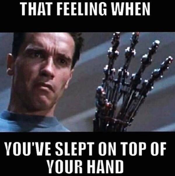 Terminator Humor: Memes That'll Make You Say 'I'll Be Laughing' (51 ...