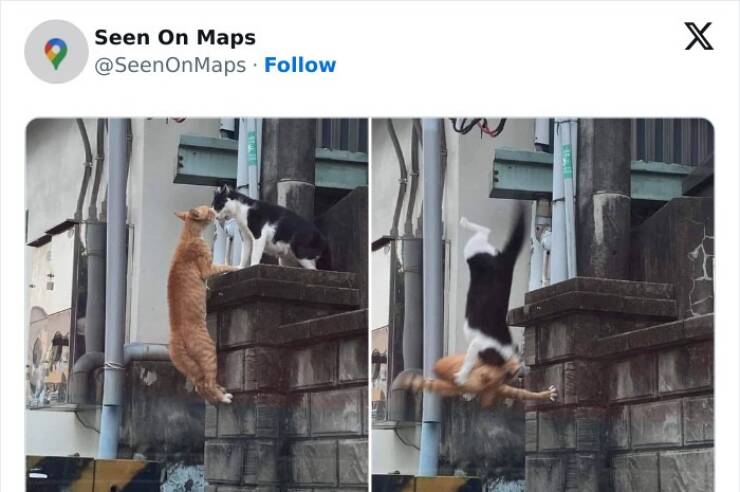 Streets Of Laughter: Silly Moments Captured For All To See (35 PICS ...