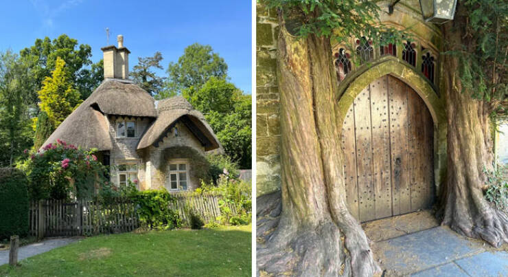 Grandma Meets Hip: Beautiful Illustrations Of Contemporary Cottagecore ...