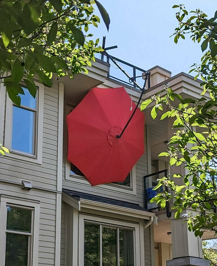 Scorching Consequences: Captivating Images Of Summer Heatwaves (42 PICS ...