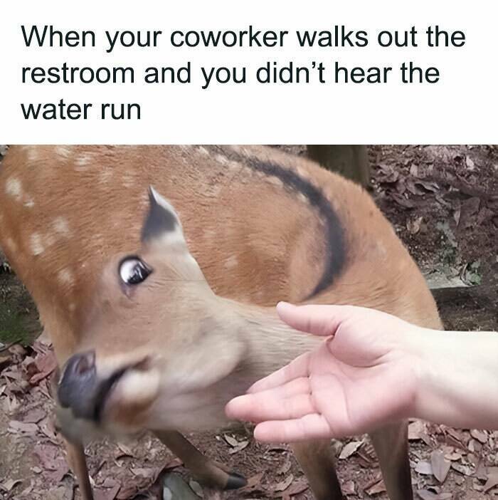 Memes For The 9-To-5 Grind: Keeping You Smiling At Work (44 PICS) - Izismile.com