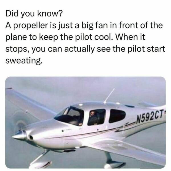 Pun-Tastic Memes: For Those Who Love A Good Wordplay Laugh (50 PICS ...