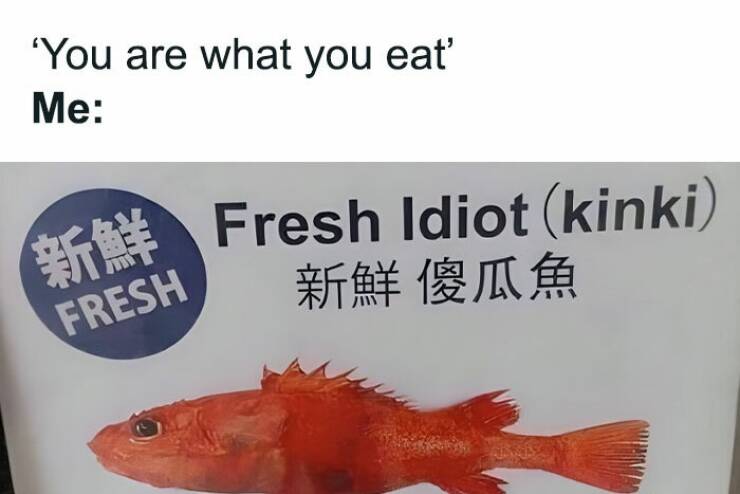 Pun-Tastic Memes: For Those Who Love A Good Wordplay Laugh (50 PICS ...