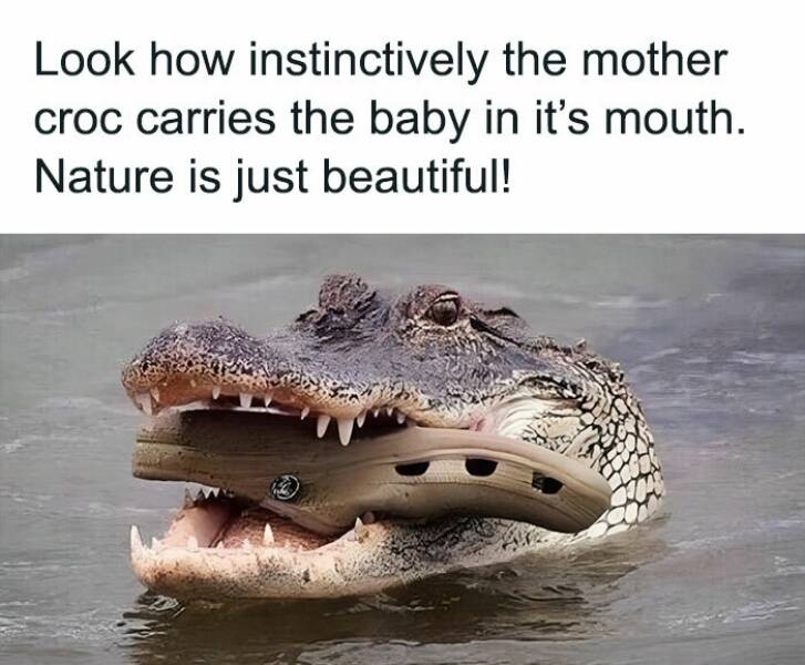 Pun-Tastic Memes: For Those Who Love A Good Wordplay Laugh (50 PICS ...