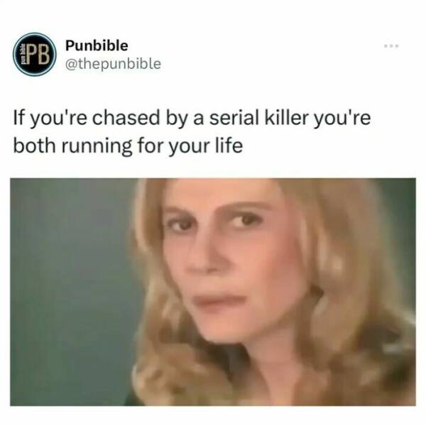 Pun-Tastic Memes: For Those Who Love A Good Wordplay Laugh (50 PICS ...