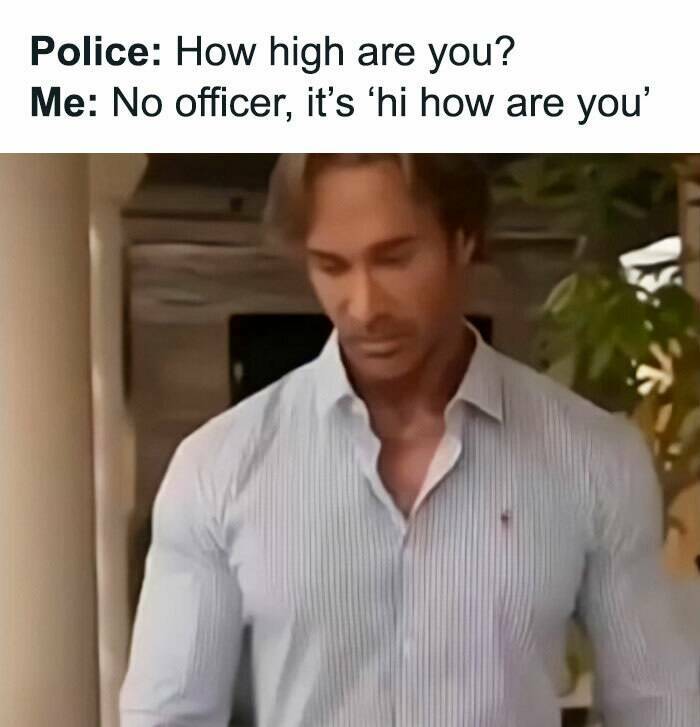 Pun-Tastic Memes: For Those Who Love A Good Wordplay Laugh (50 PICS ...