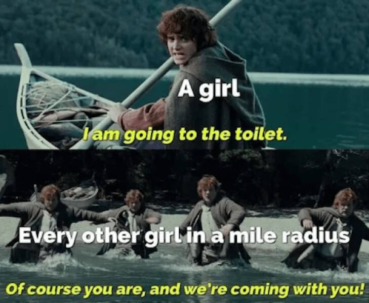 Return Of The One Meme To Rule Them All (28 PICS) - Izismile.com