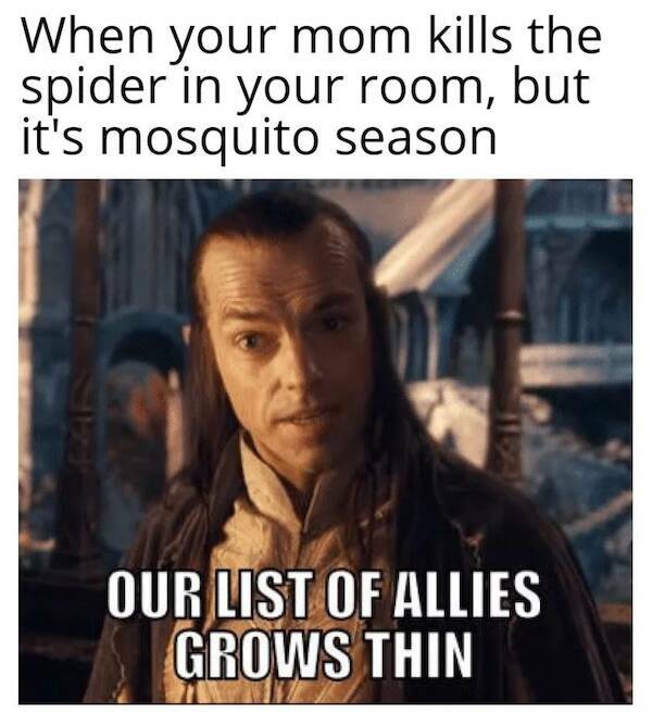 Return Of The One Meme To Rule Them All (28 PICS) - Izismile.com