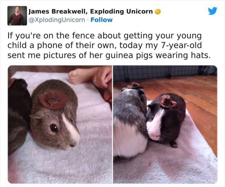 Hilarious And Relatable Gems From 'Exploding Unicorn' (49 PICS ...