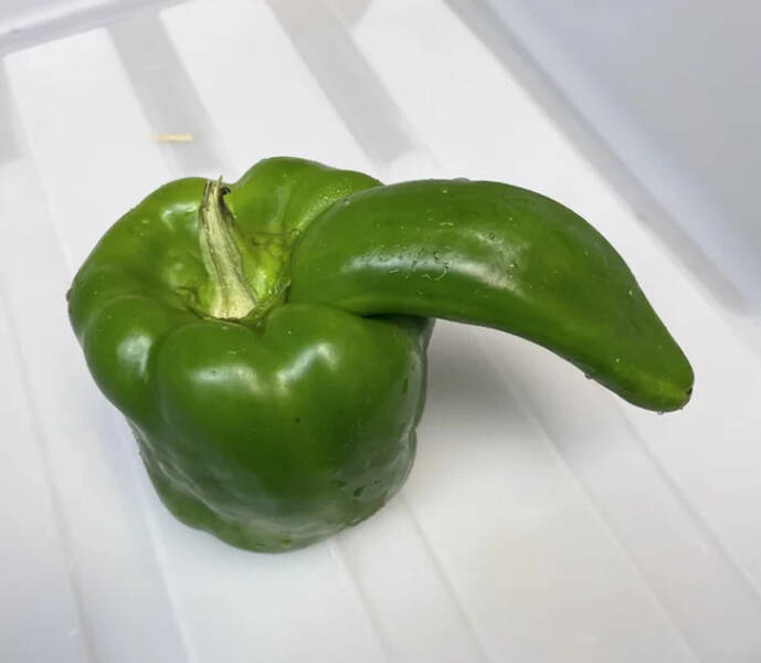 Out Of The Ordinary: Bizarre Pics For The Curious (29 PICS) - Izismile.com