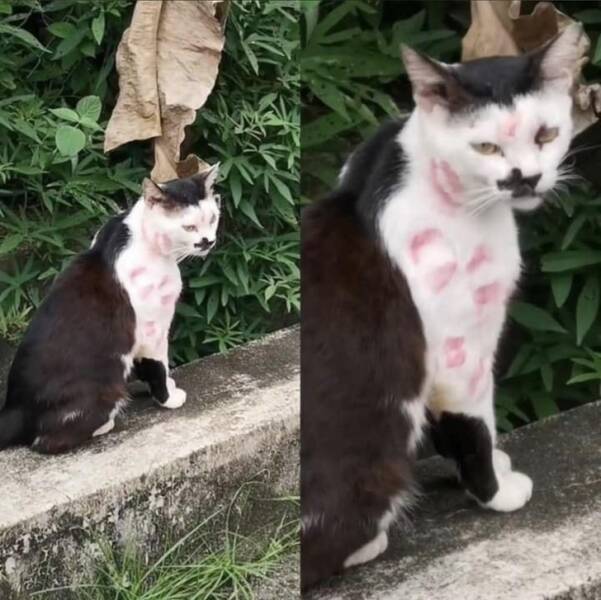 Out Of The Ordinary: Bizarre Pics For The Curious (29 PICS) - Izismile.com