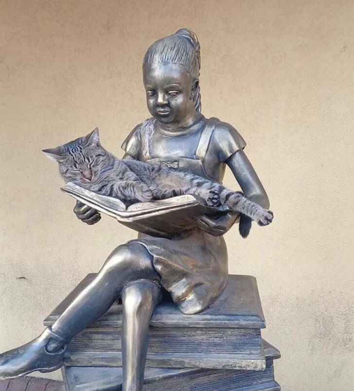 Out Of The Ordinary: Bizarre Pics For The Curious (29 PICS) - Izismile.com