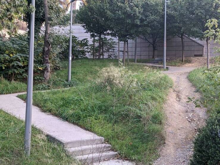 The Way People Really Walk: Desire Paths And Urban Planning Failures ...