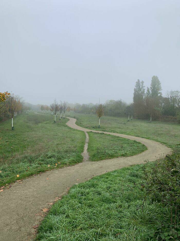 The Way People Really Walk: Desire Paths And Urban Planning Failures ...