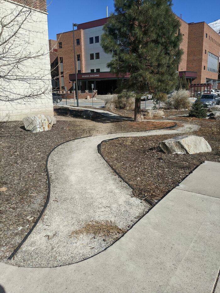 The Way People Really Walk: Desire Paths And Urban Planning Failures ...