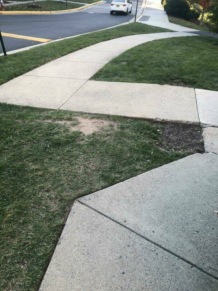 The Way People Really Walk: Desire Paths And Urban Planning Failures ...