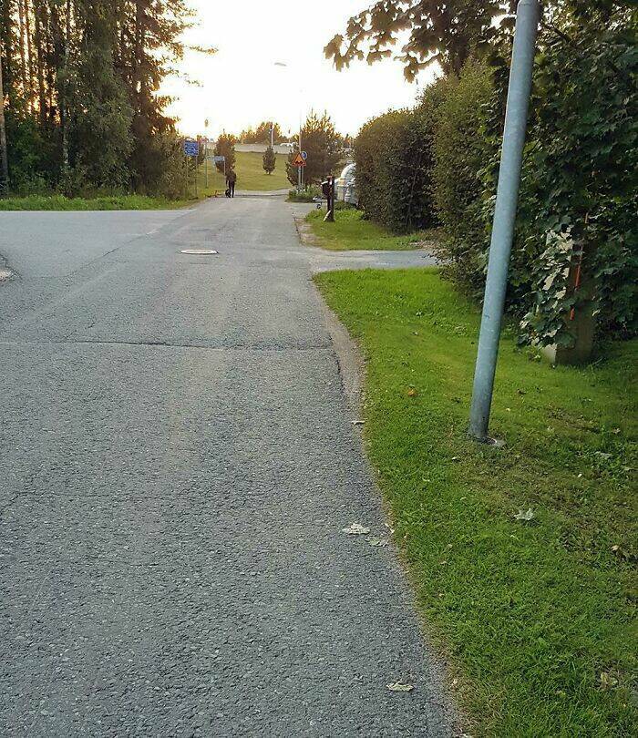 The Way People Really Walk: Desire Paths And Urban Planning Failures ...